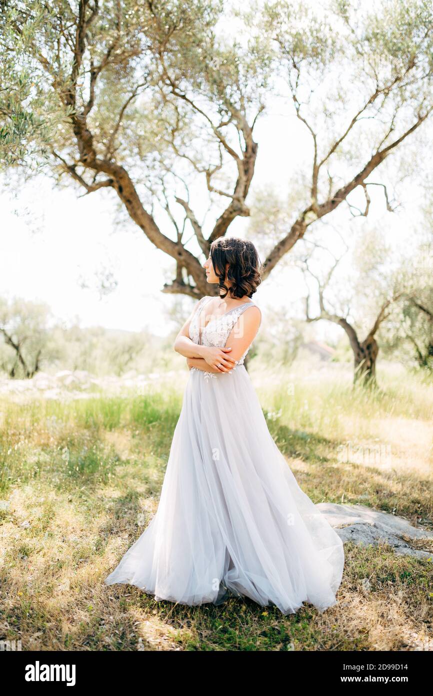 beautiful bride in tender wedding dress in the olive grove Stock Photo ...