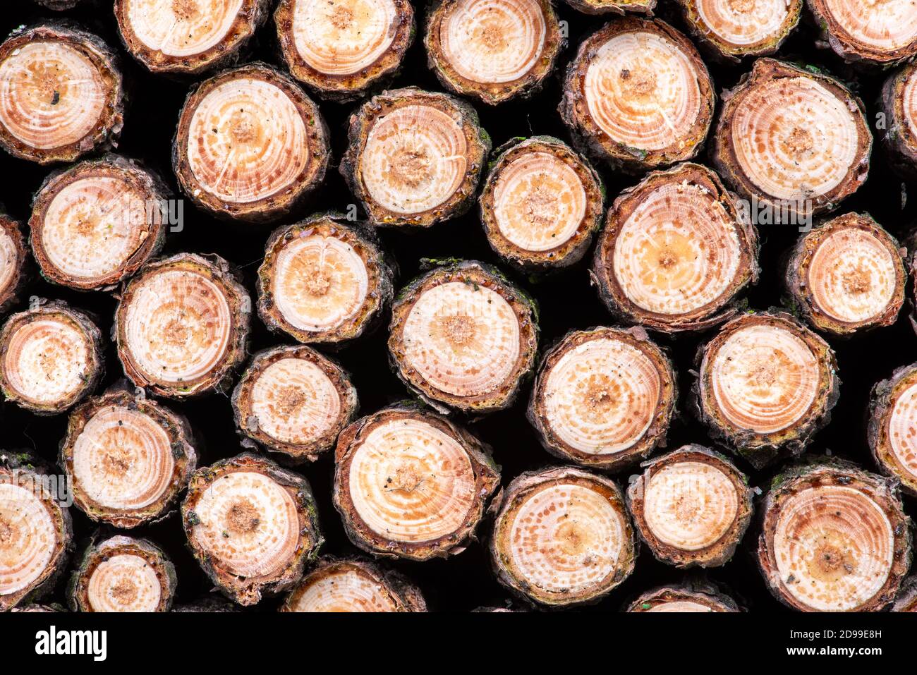 Stacked log pattern hi-res stock photography and images - Alamy