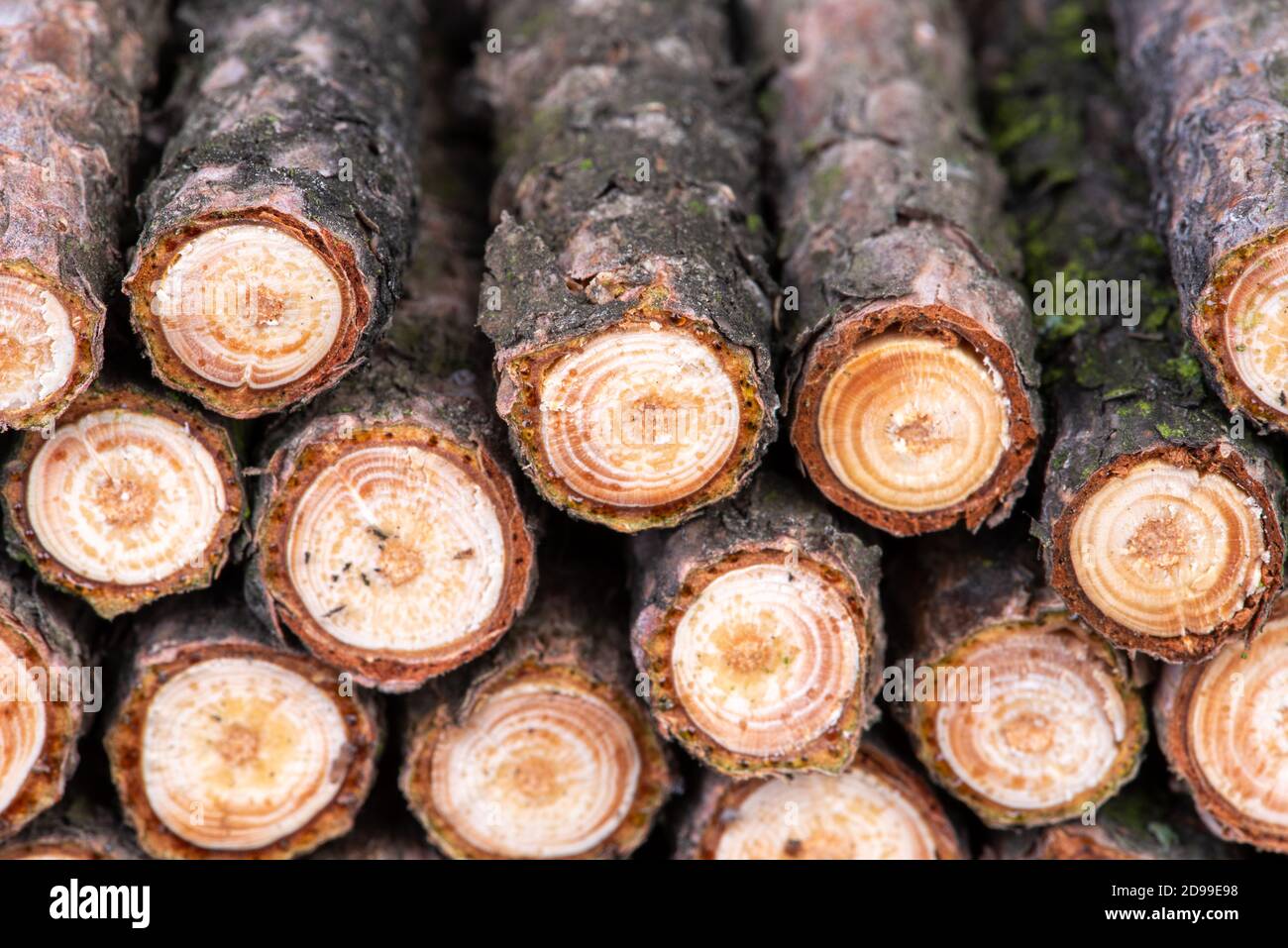 Log stack hi-res stock photography and images - Alamy