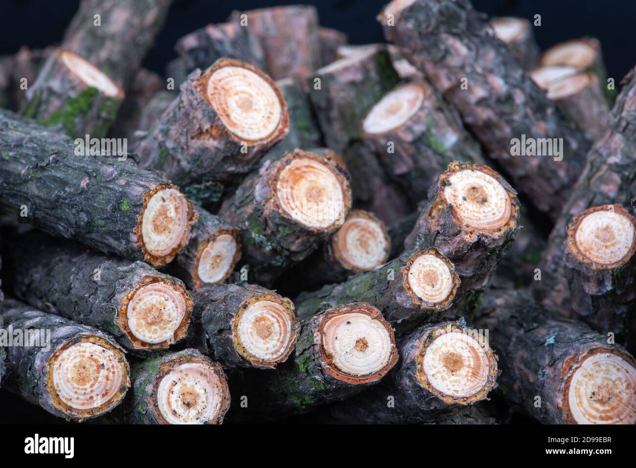 Log stack hi-res stock photography and images - Alamy