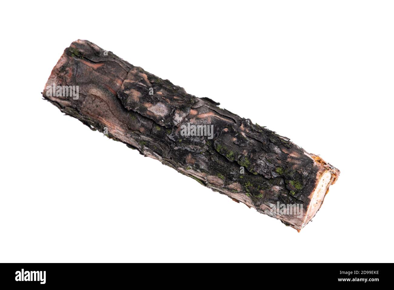 Pine log isolated on white background Stock Photo - Alamy