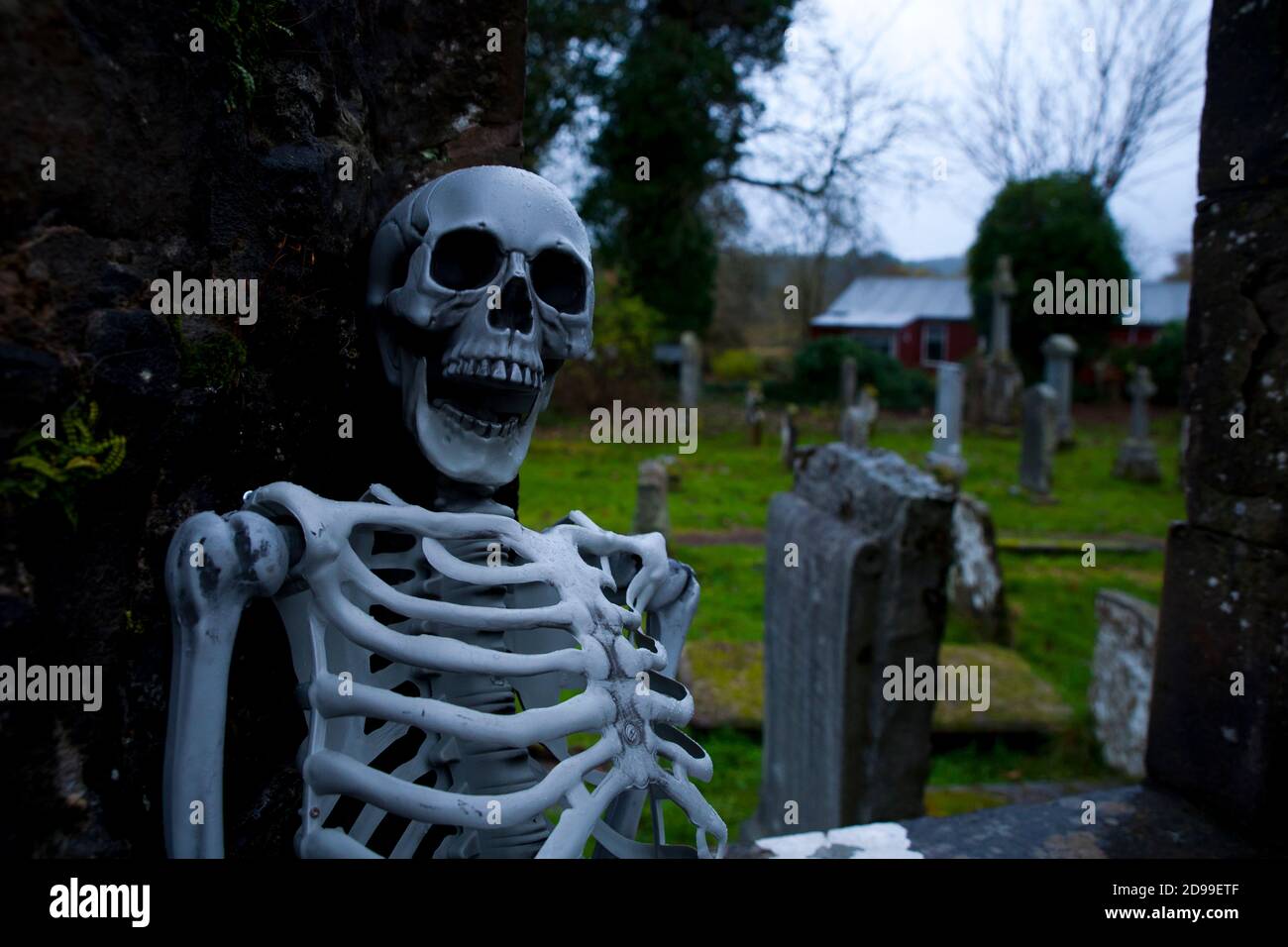 “day of the dead”still remains strong today.Symbols of death are so ...