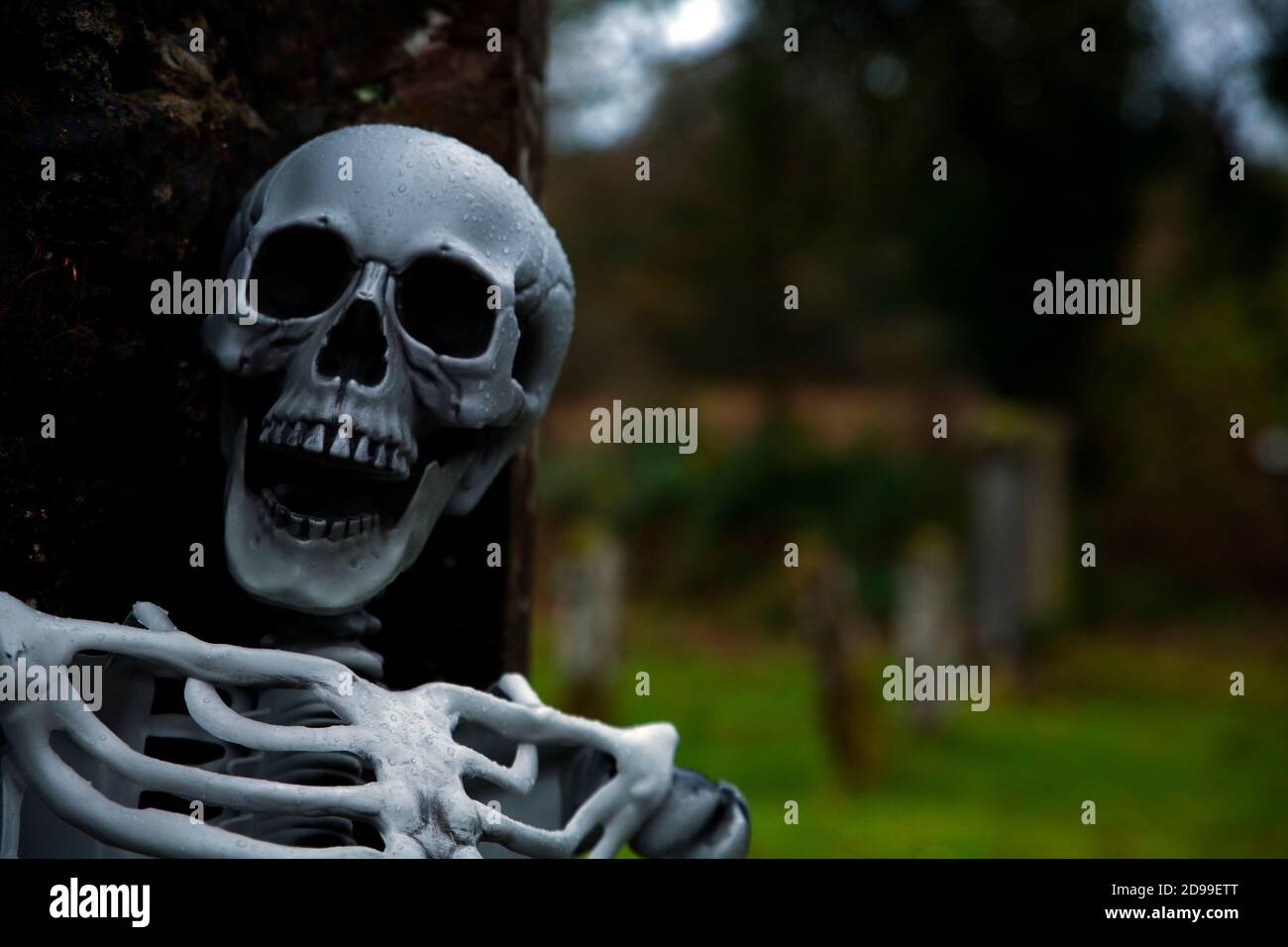 “day of the dead”still remains strong today.Symbols of death are so ...