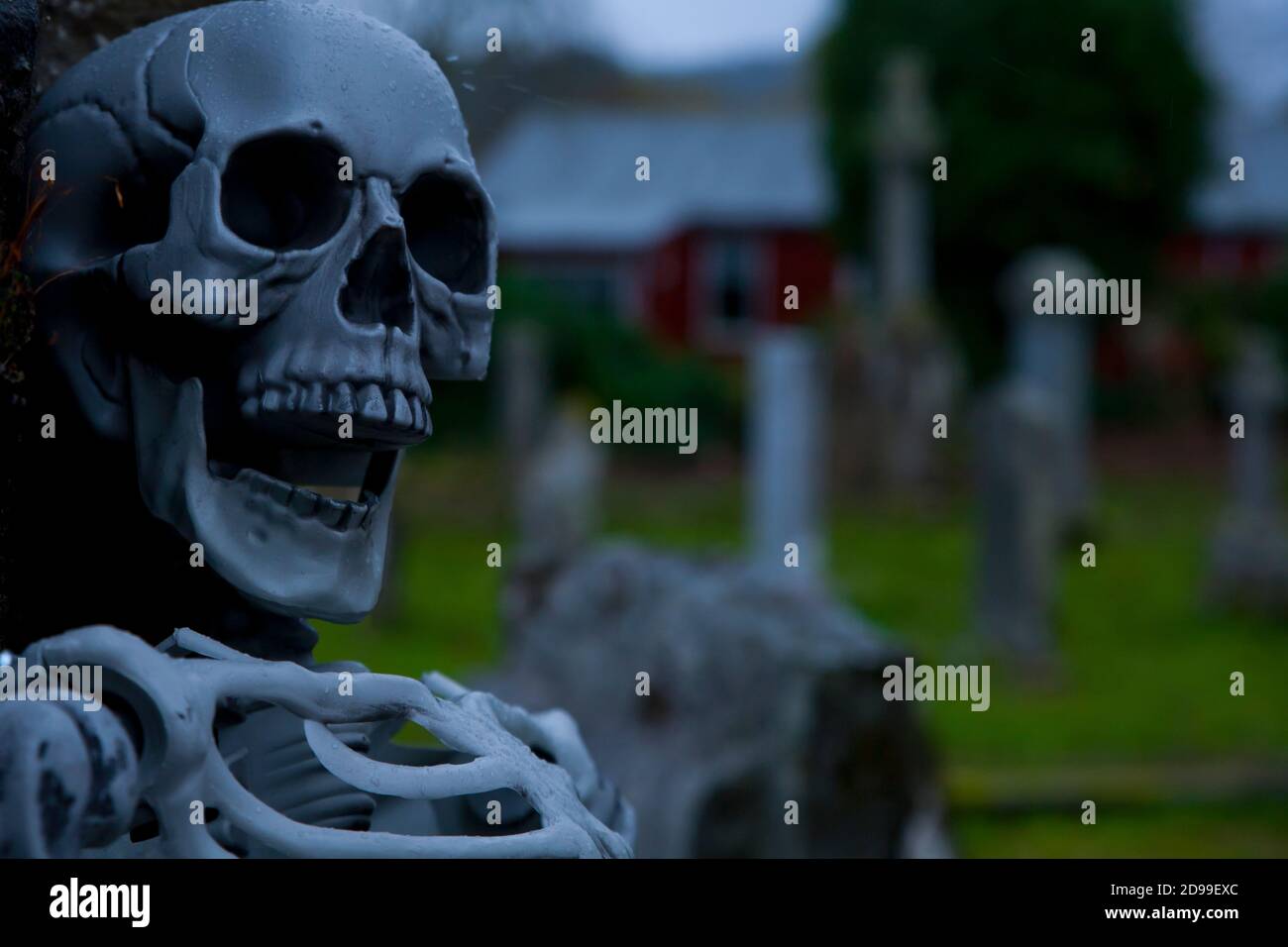 “day of the dead”still remains strong today.Symbols of death are so ...