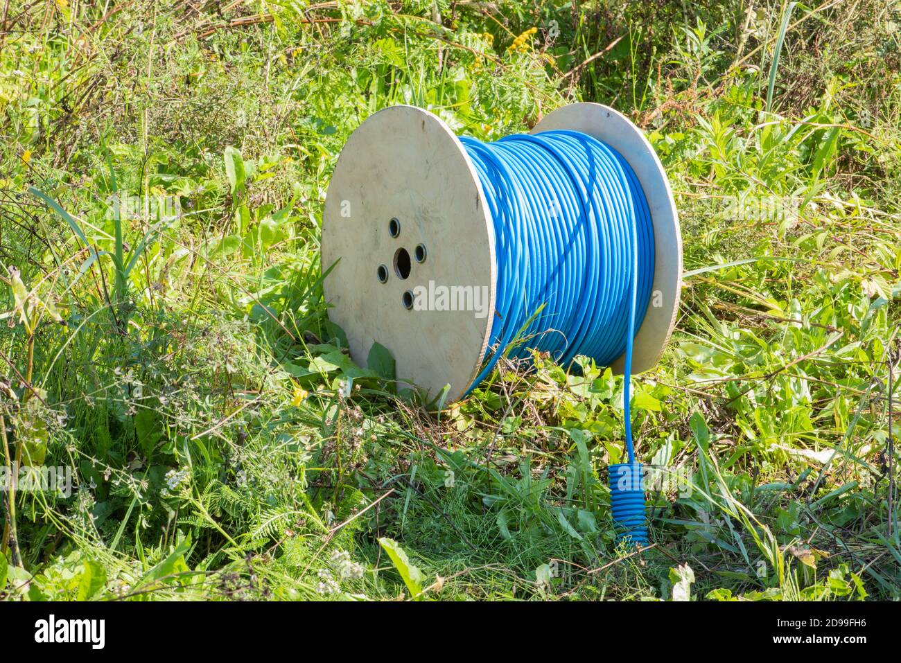 Cable drum with network cord on green meadow field Stock Photo - Alamy