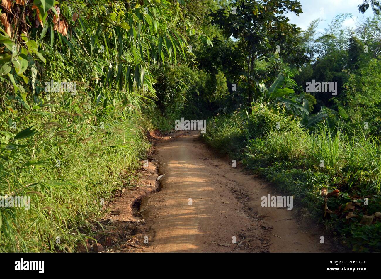 Yafu hi-res stock photography and images - Alamy