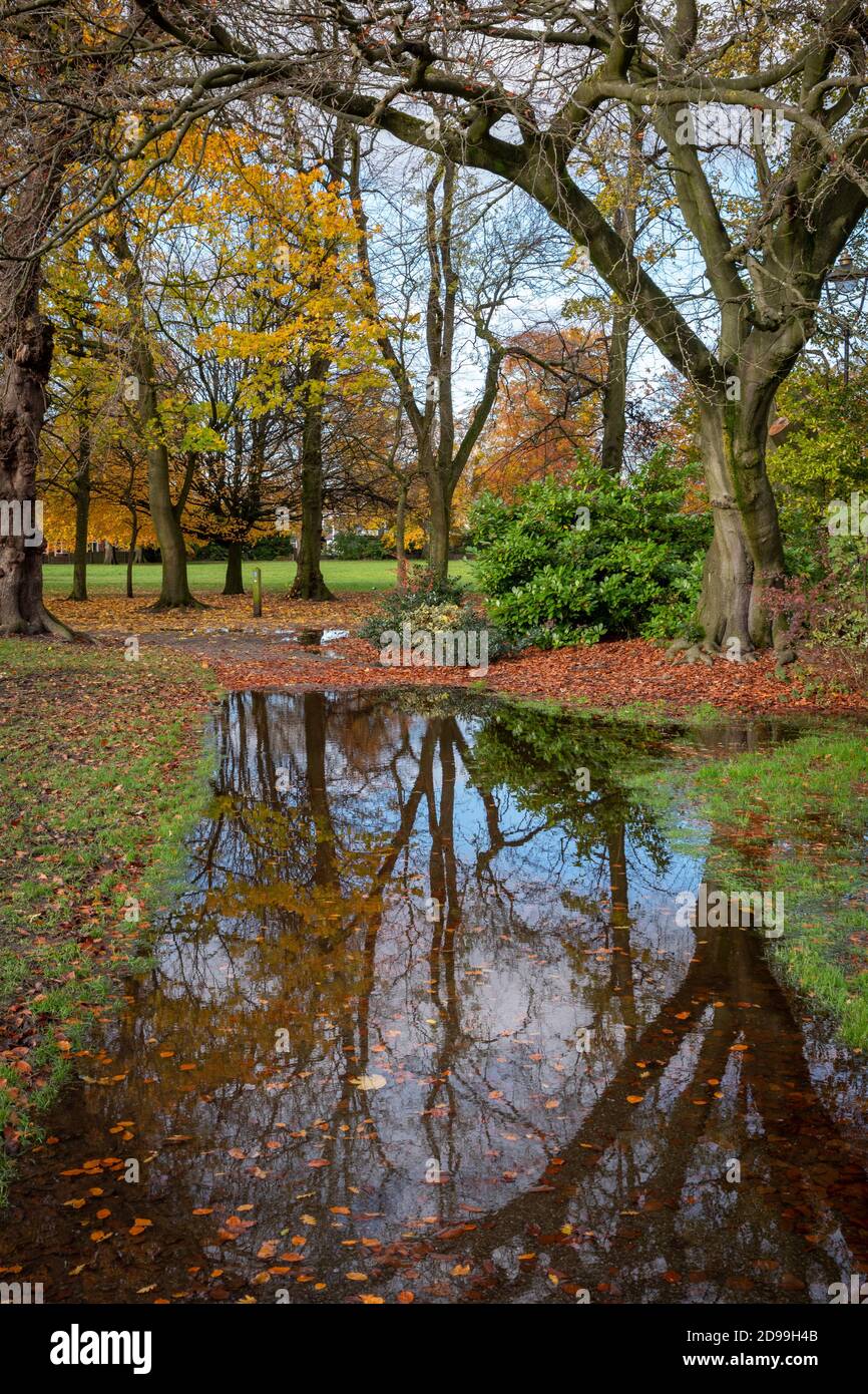Reflections in a flooded Longford Park Stock Photo - Alamy