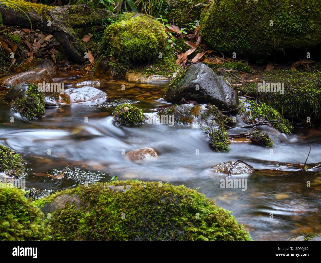Composite of multiple long-exposure images of the stream of a brook ...