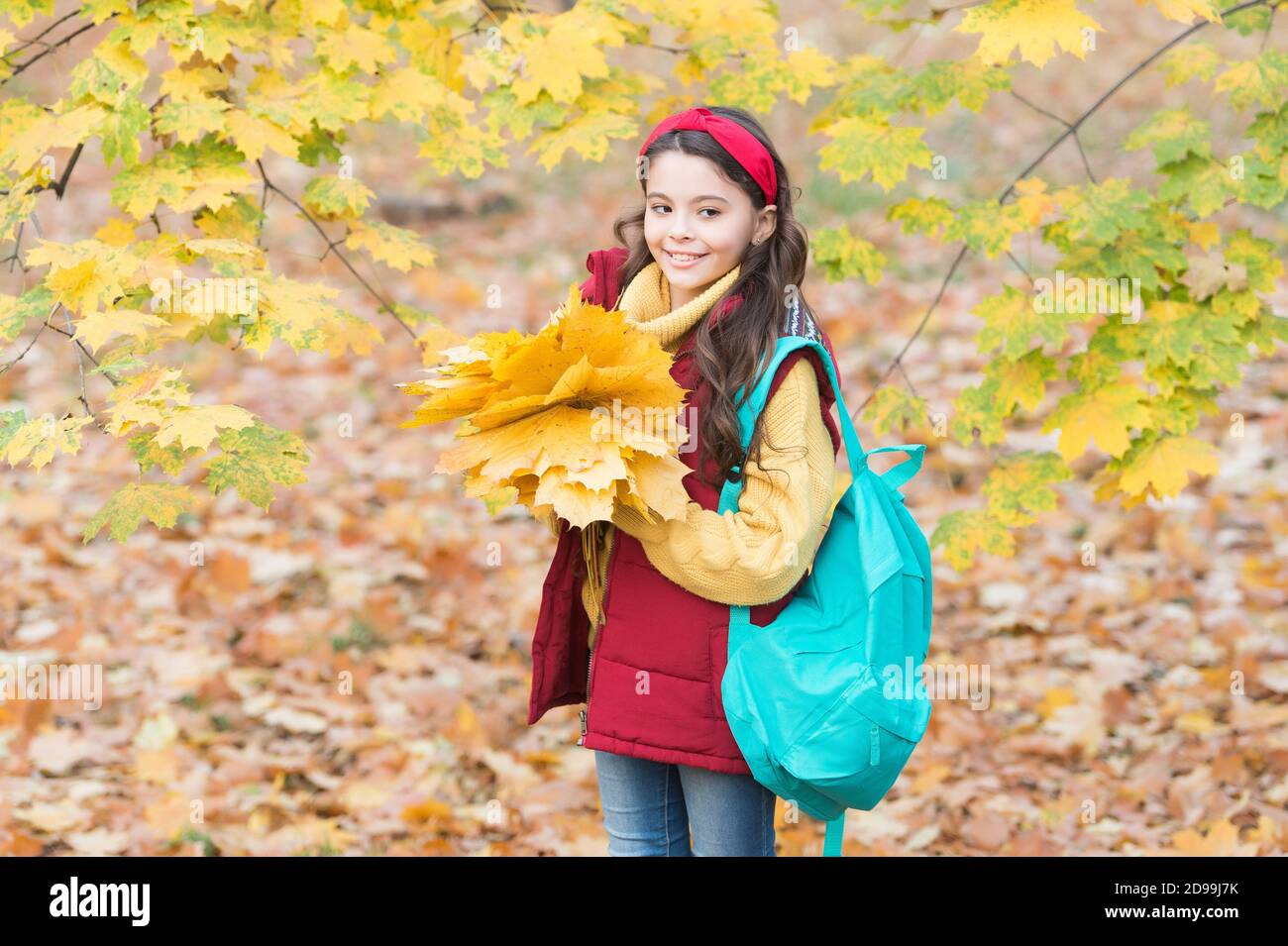 perfect autumn day of cheerful kid with school bag and autumn maple ...