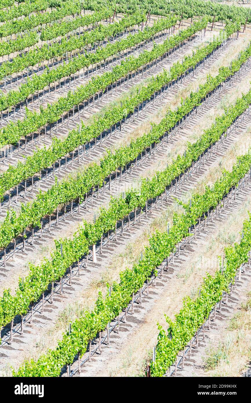 Temecula hi-res stock photography and images - Alamy