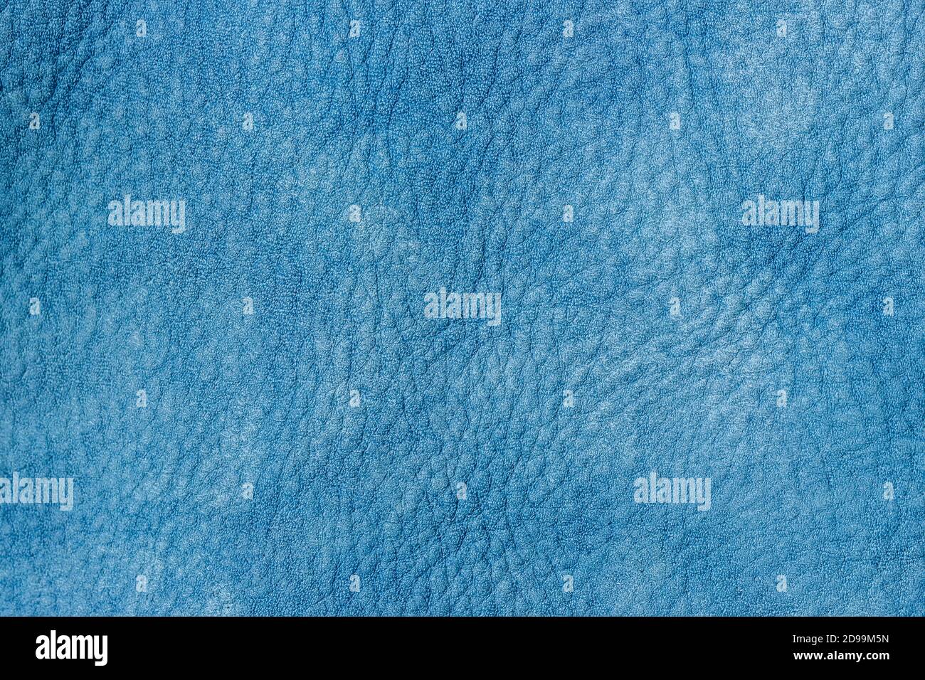 Texture of genuine leather close-up, bright blue denim color, trendy ...