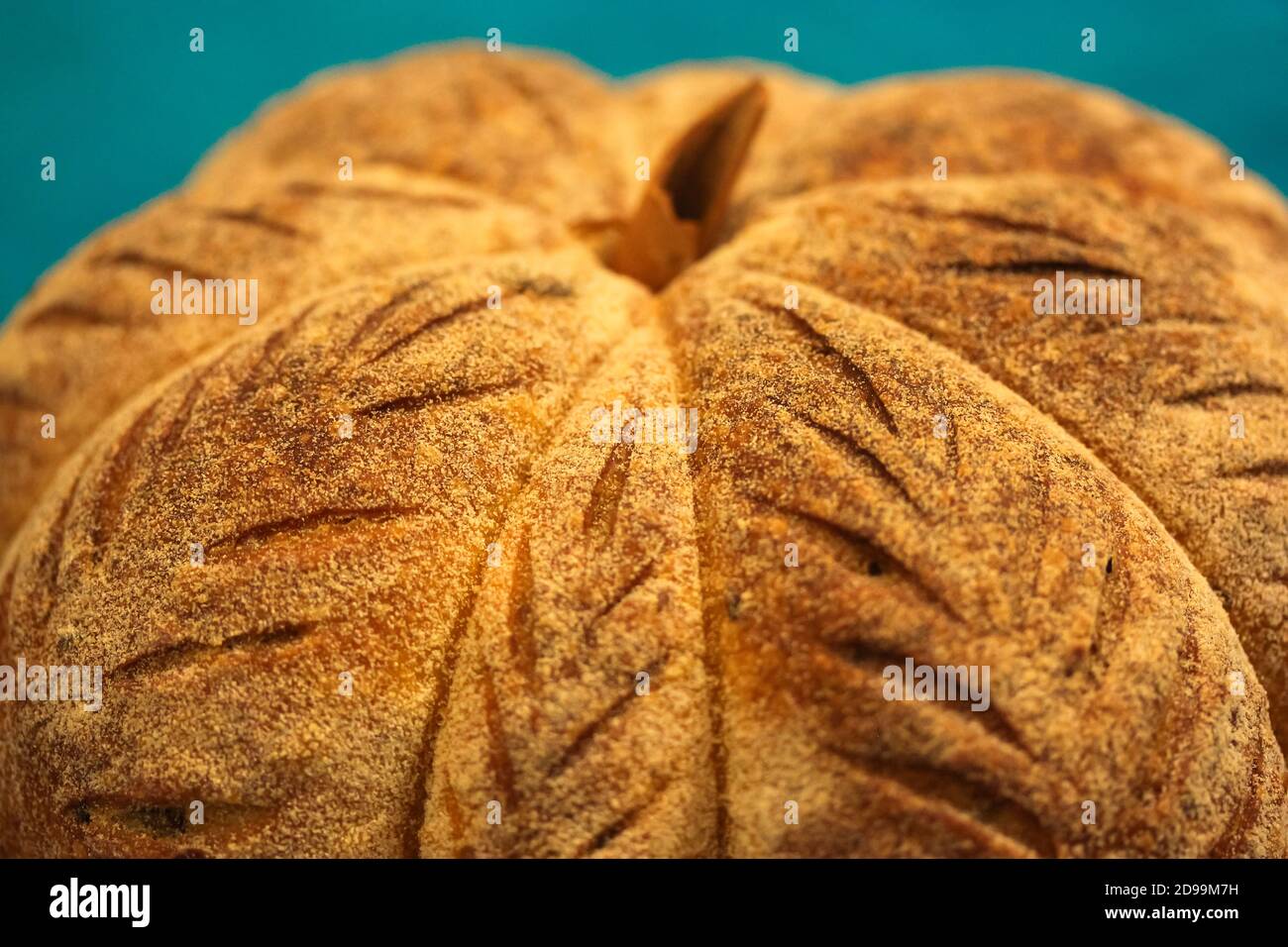 Homemade pastry, fresh pumpkin-shaped bread, background for ...