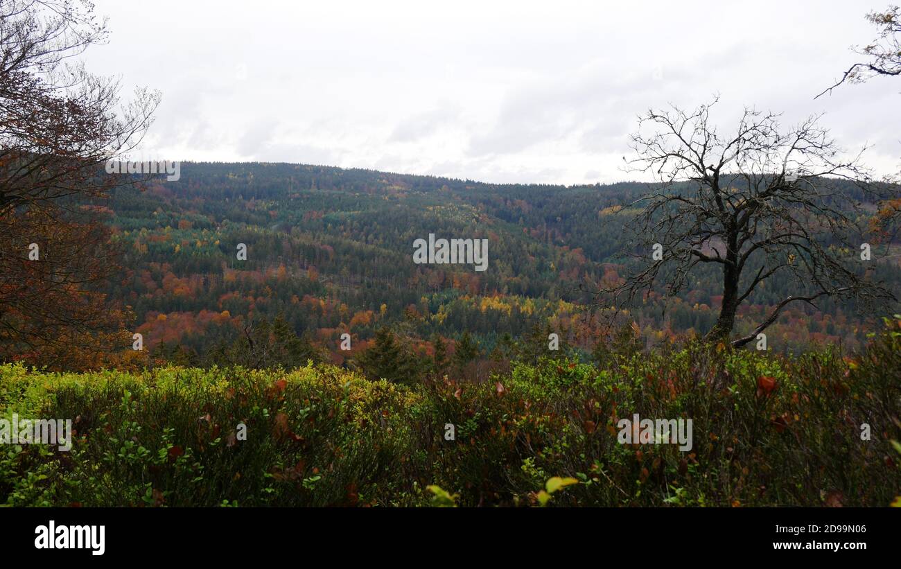 Taunus nature park hi-res stock photography and images - Alamy
