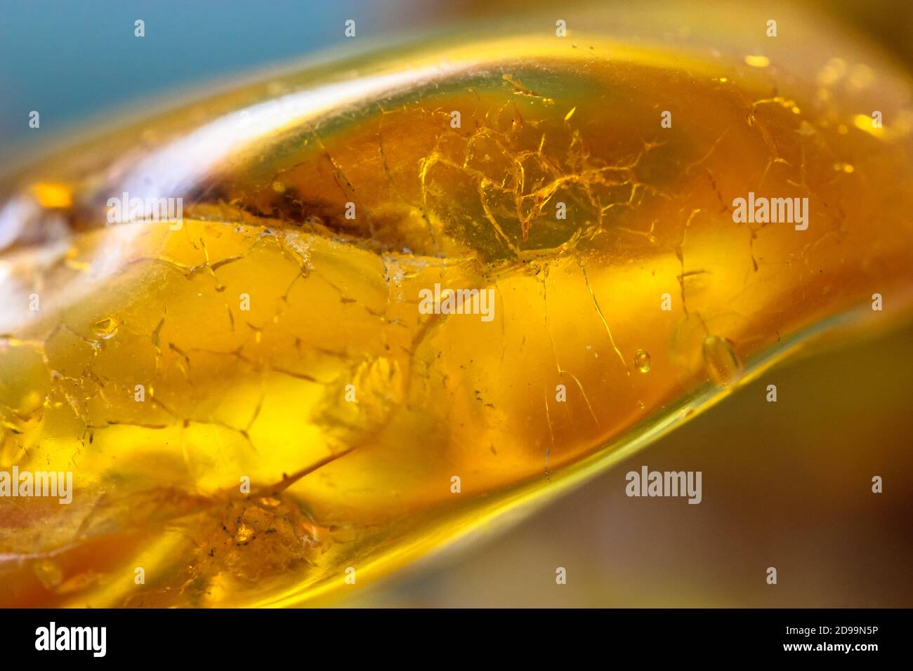 Golden fossilized resin hi-res stock photography and images - Alamy