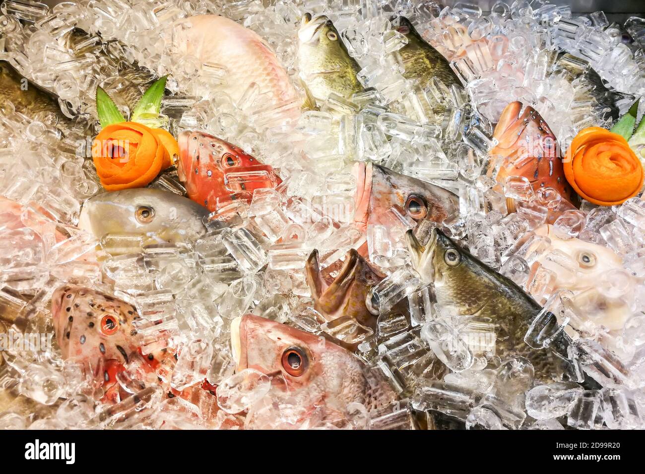 Ice covered fish hi-res stock photography and images - Alamy