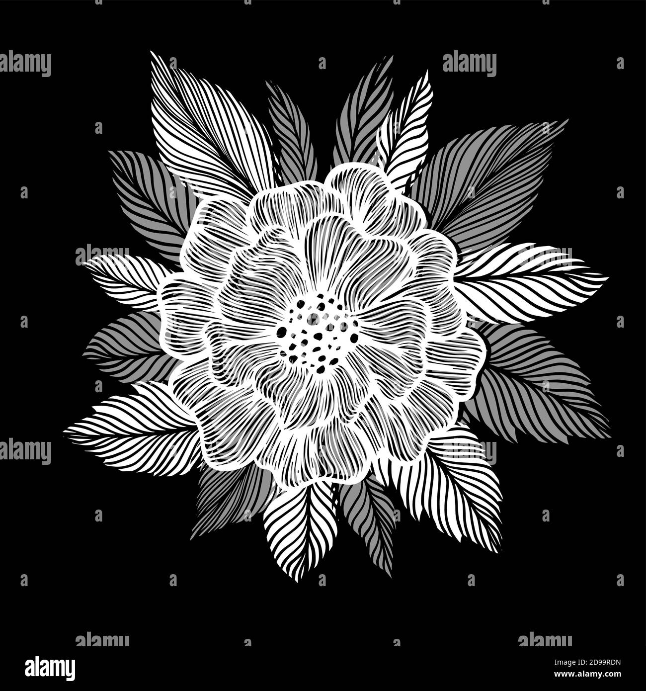 Monochrome floral abstraction. Graphic beautiful flower. Vector ...