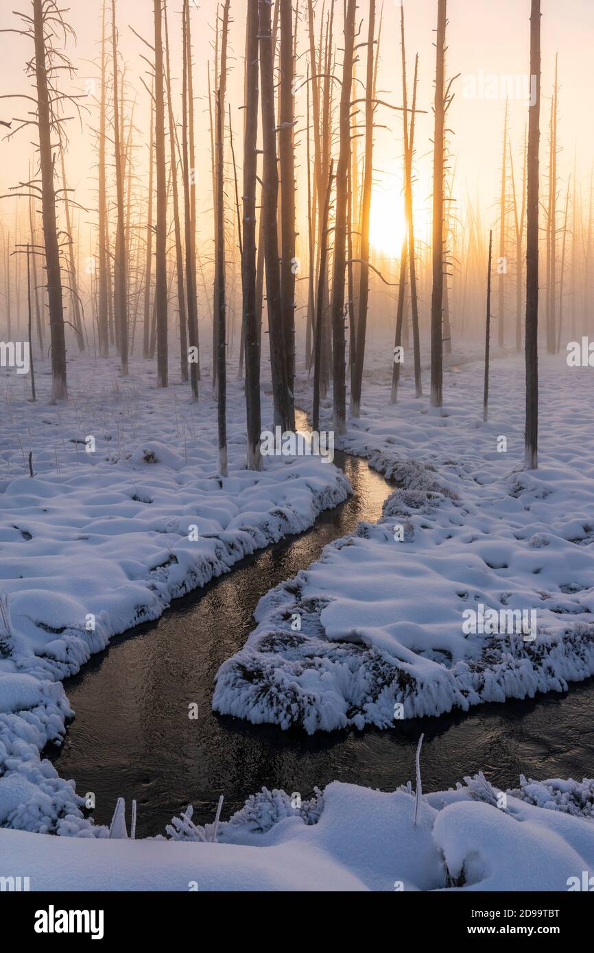 Frost creek hi-res stock photography and images - Alamy