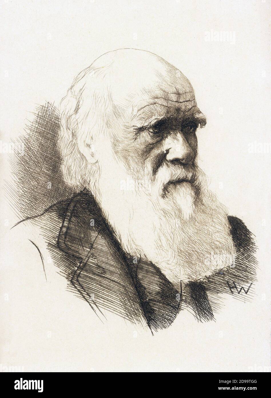 Charles darwin portrait hi-res stock photography and images - Alamy