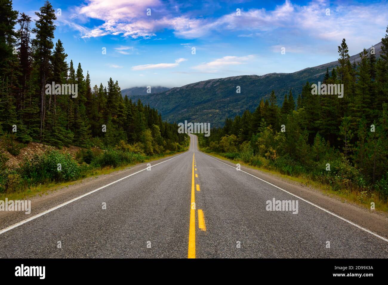 Roadtrip in beautiful scenic hi-res stock photography and images - Alamy