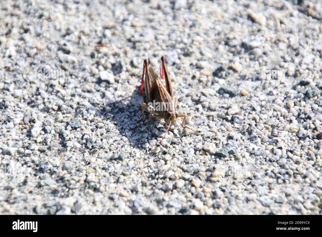 Gravel hopper hi-res stock photography and images - Alamy