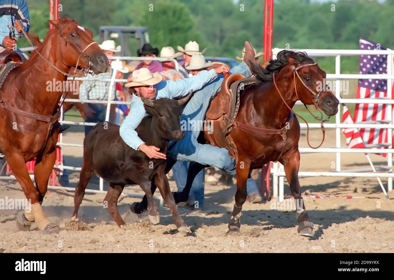Hog tie hi-res stock photography and images - Alamy