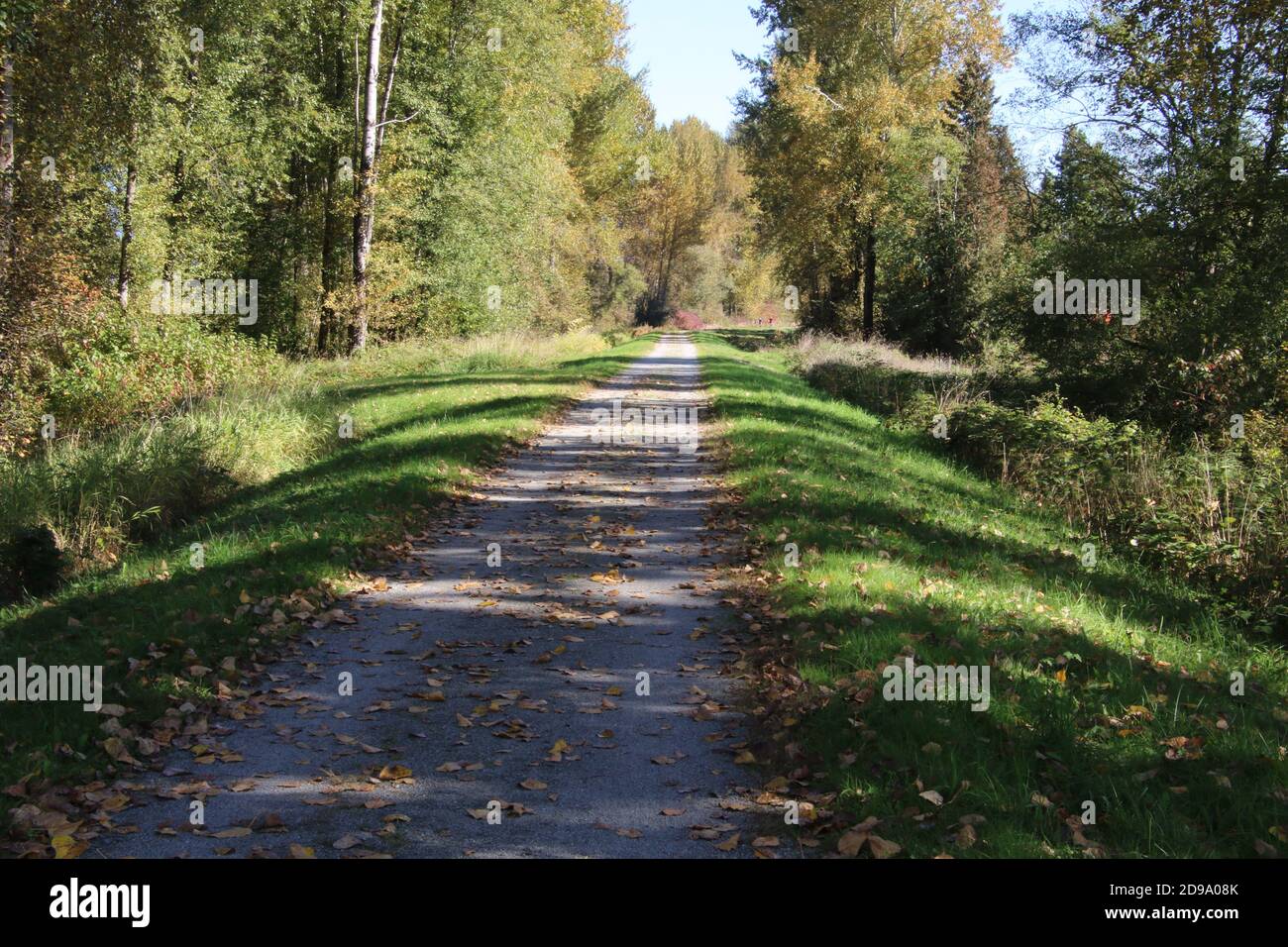 A view of a trail with trees on the left side and open space and a road ...