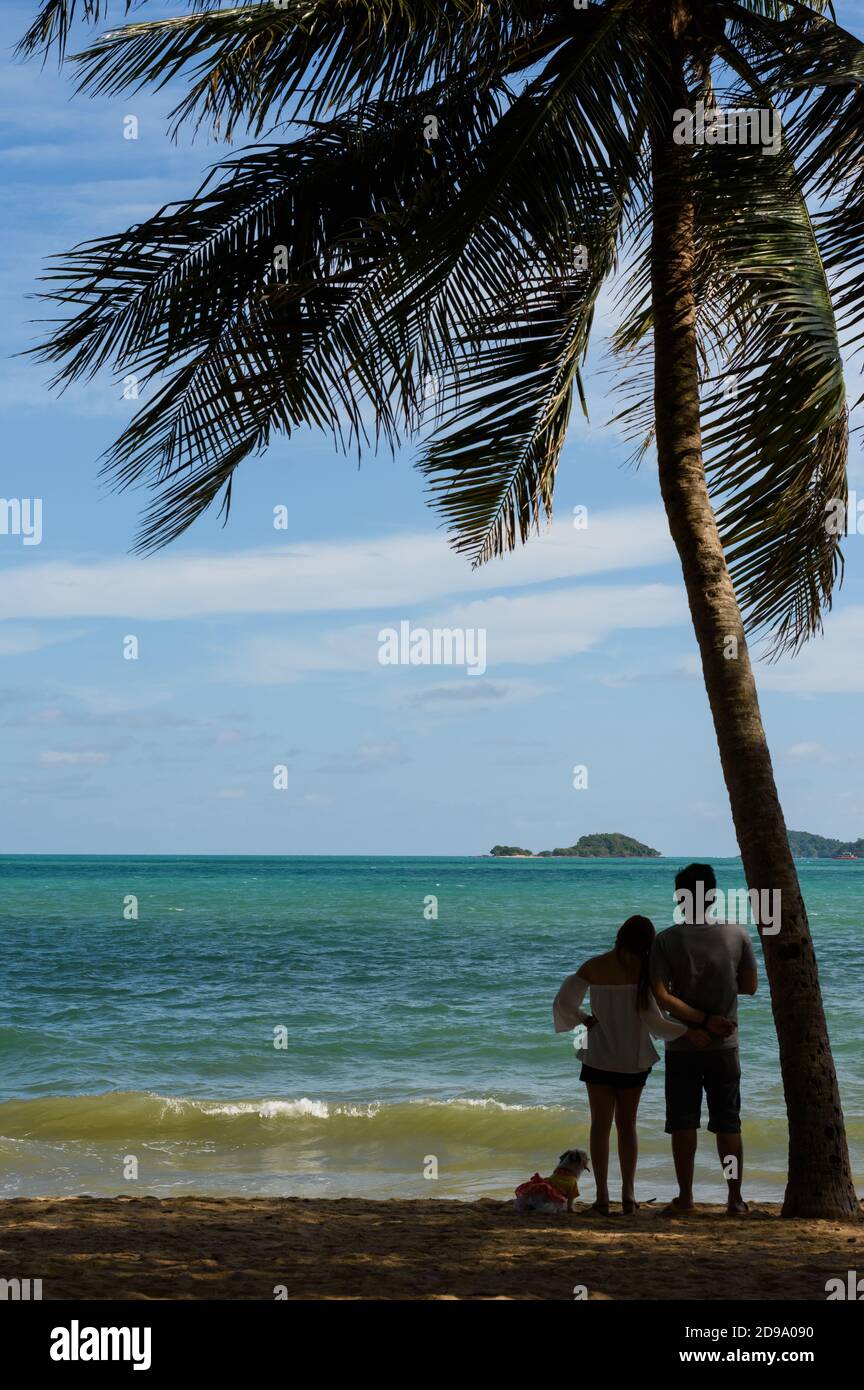 silhouette of couple and a dog with coconut tree Stock Photo - Alamy