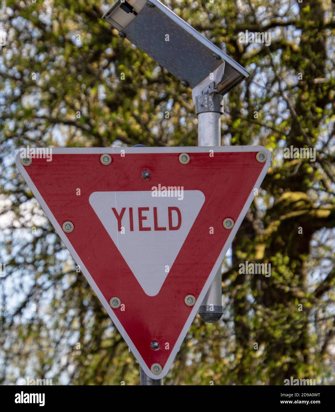A yield sign with led lights on the edges and green trees in the ...