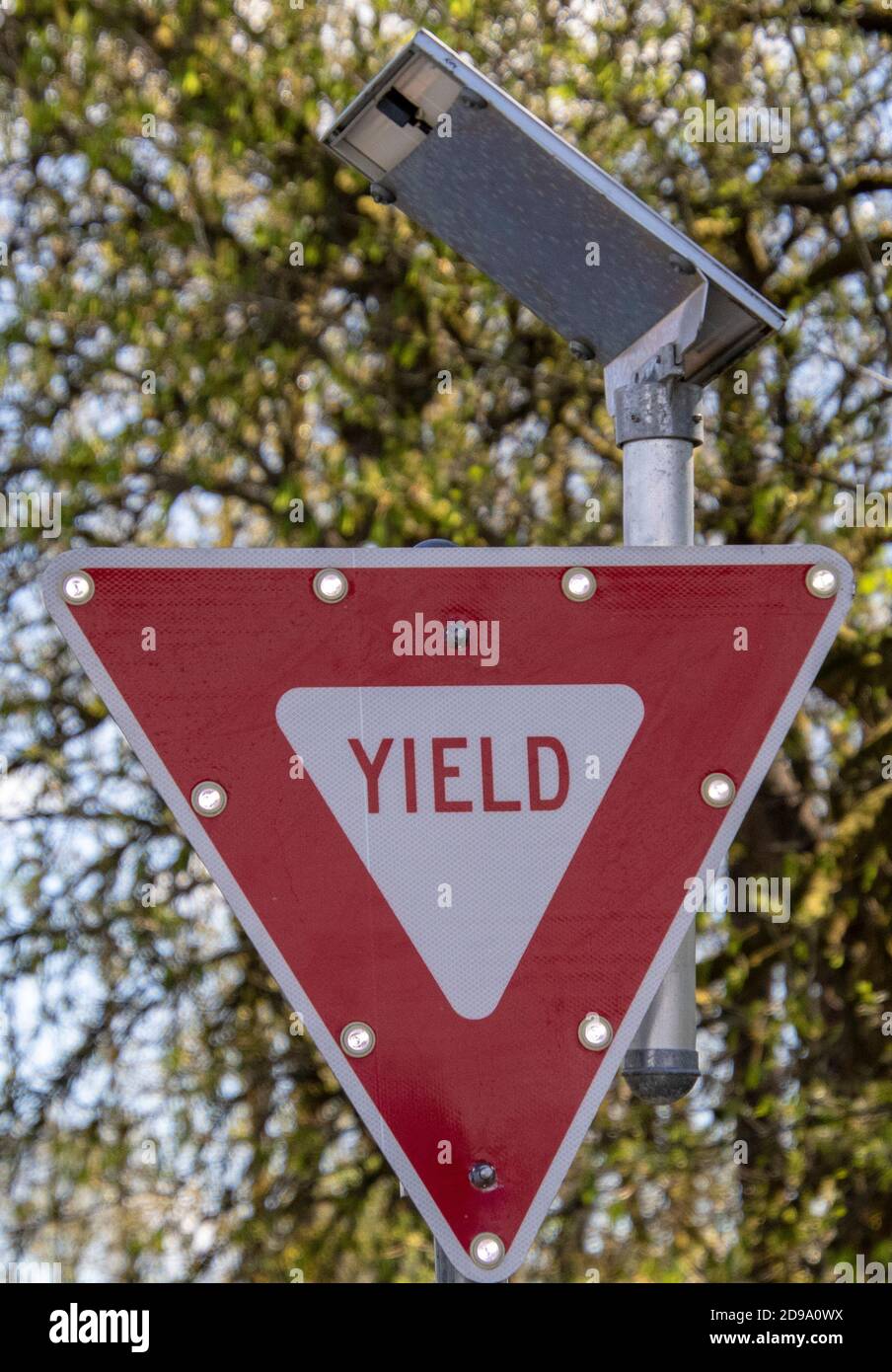 A yield sign with led lights on the edges and green trees in the ...
