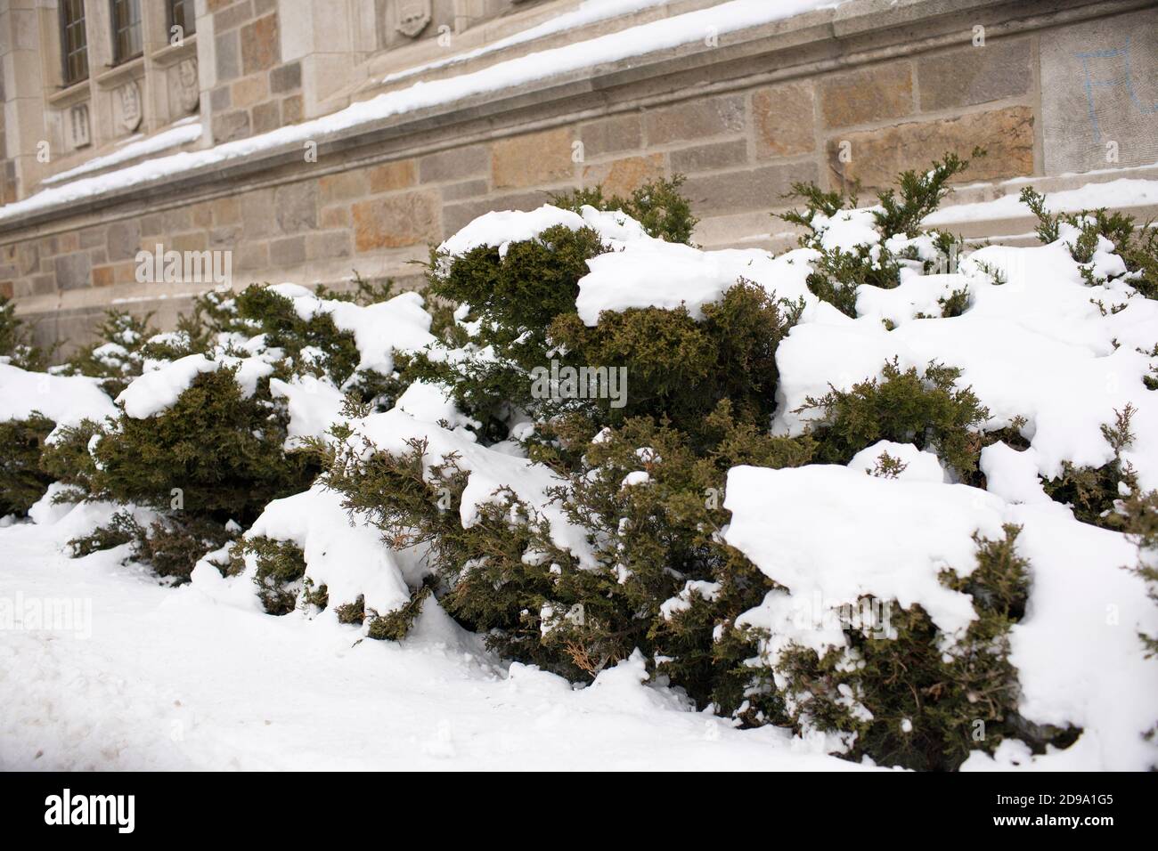 University of michigan ann arbor hi-res stock photography and images ...