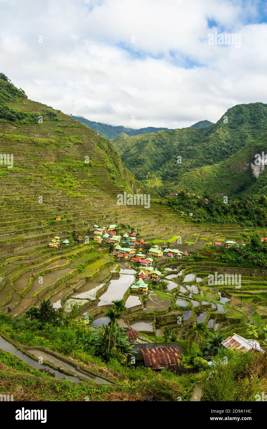 Vertical shot of Batad Rice Terraces, Luzon, Philippines Stock Photo ...