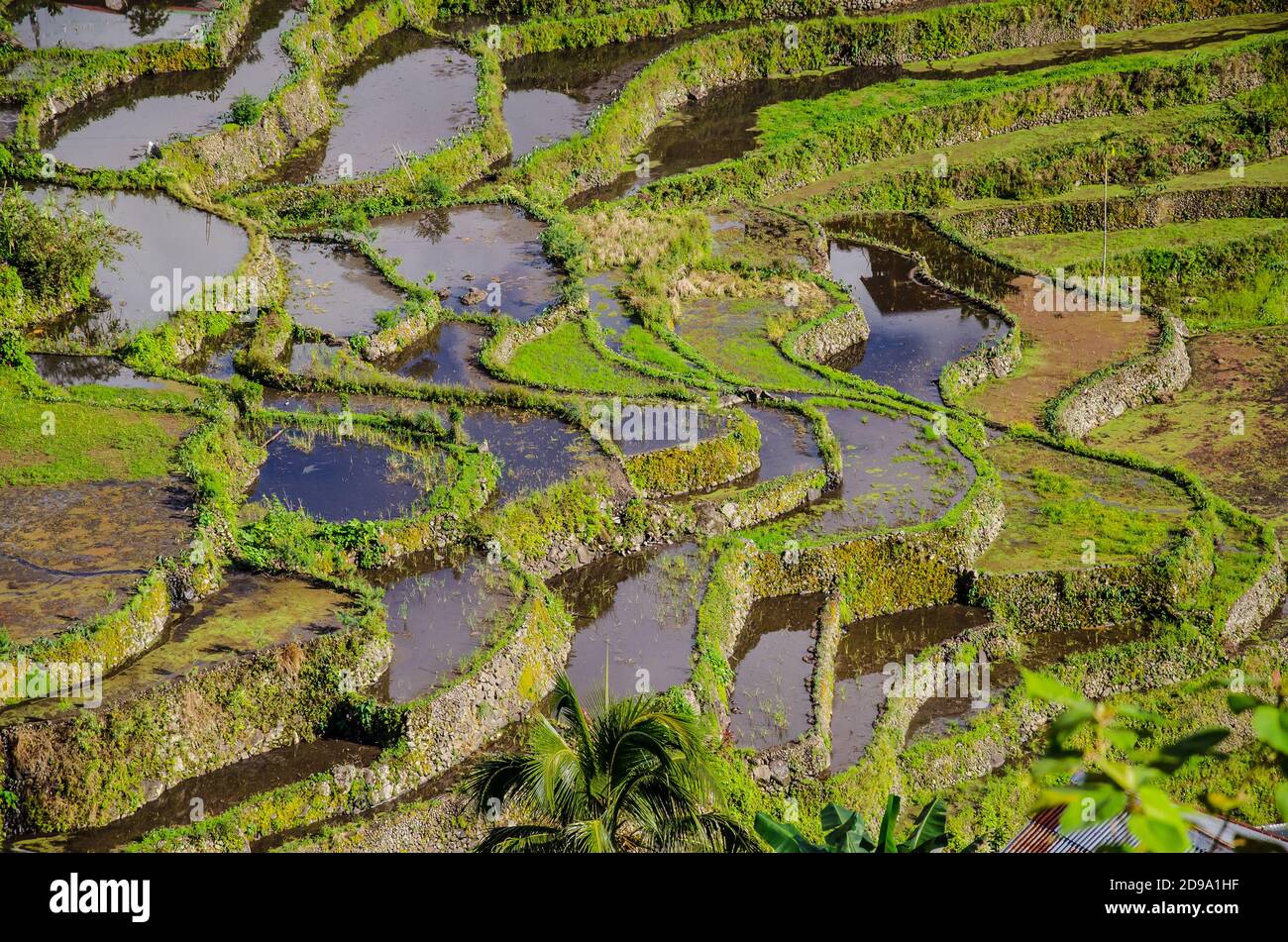 Mesmerizing view of Batad Rice Terraces, Luzon, Philippines Stock Photo ...