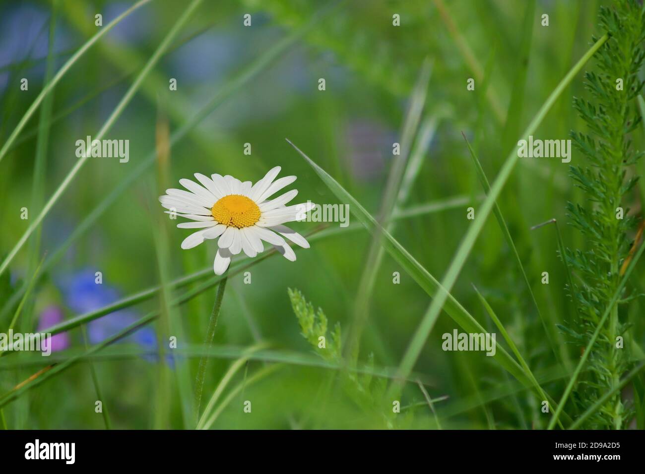 Random photography hi-res stock photography and images - Alamy