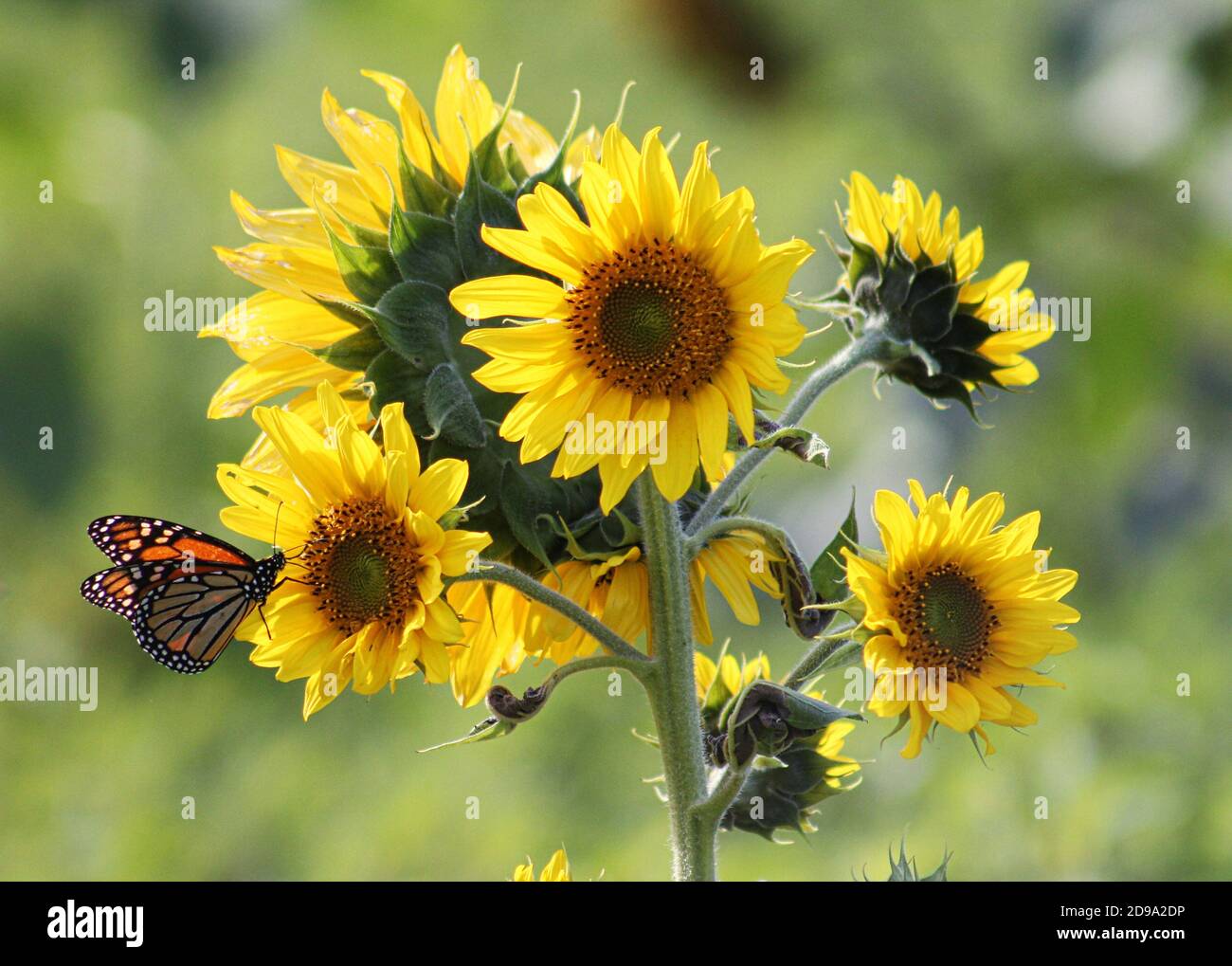 Random photography hi-res stock photography and images - Alamy