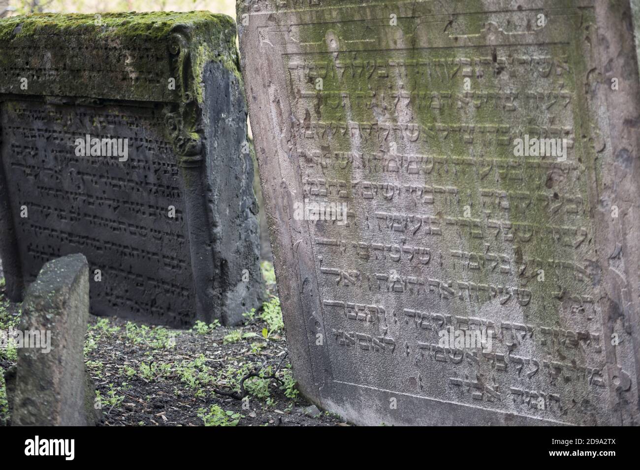 Closeup of Hebrew engravings on old stones in a graveyard under the ...