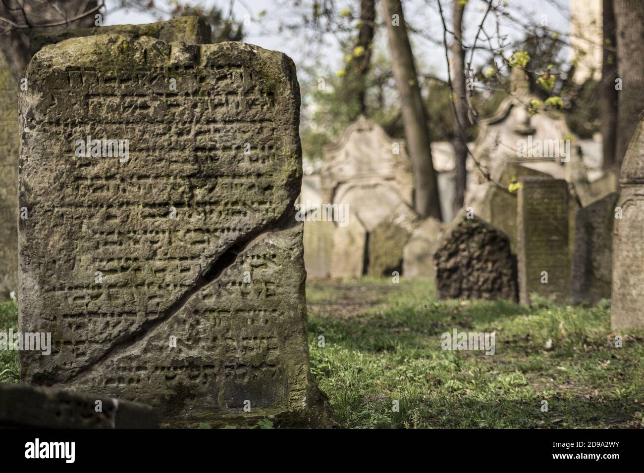 Closeup of Hebrew engravings on an old stone in a graveyard under the ...