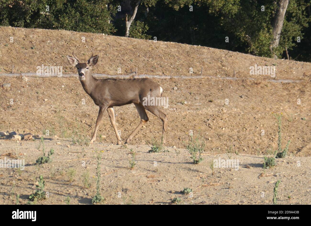 Los Angeles, California, USA 3rd Novmeber 2020 A general view of ...