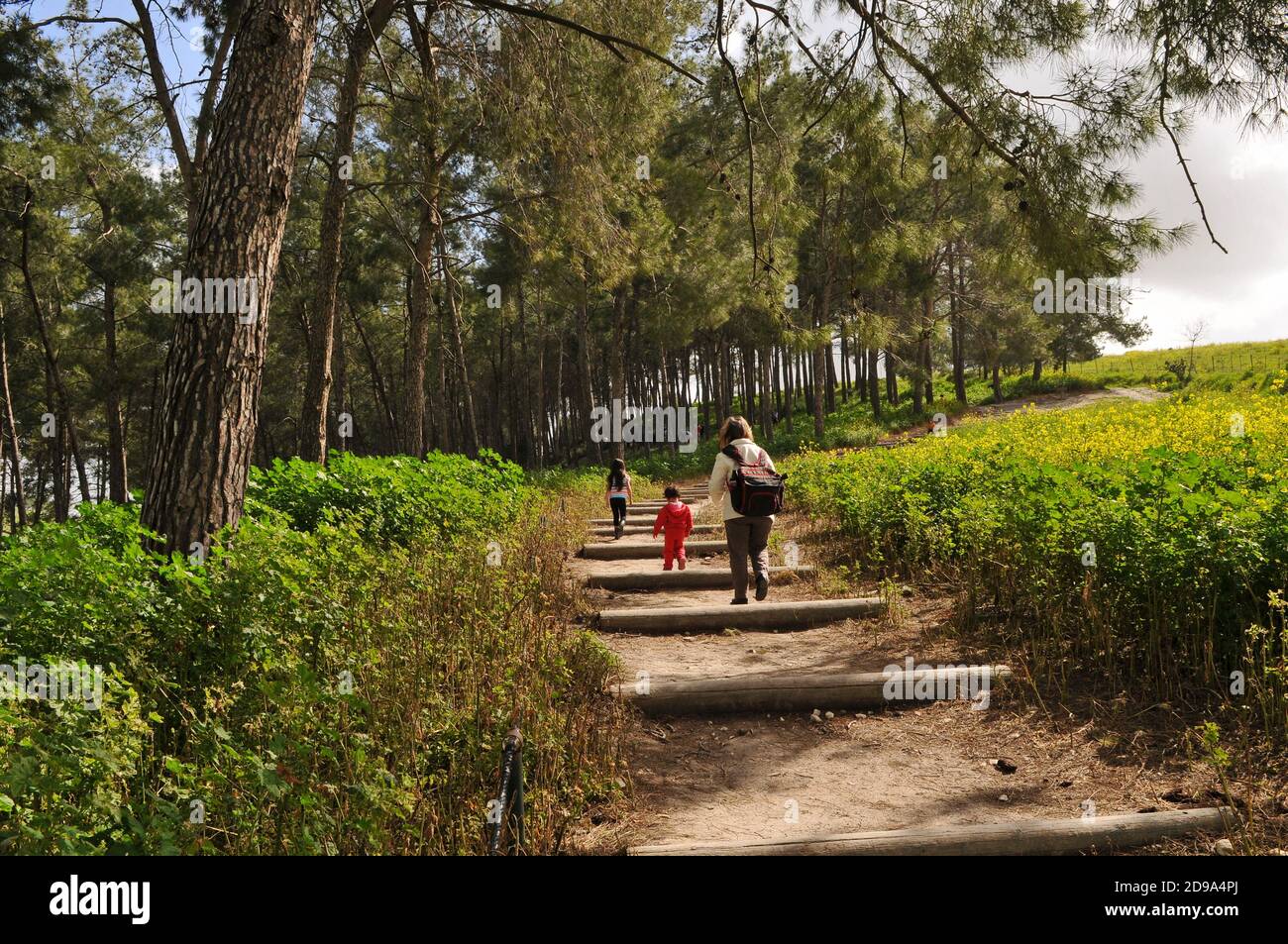 family walking on a path in forest Stock Photo - Alamy