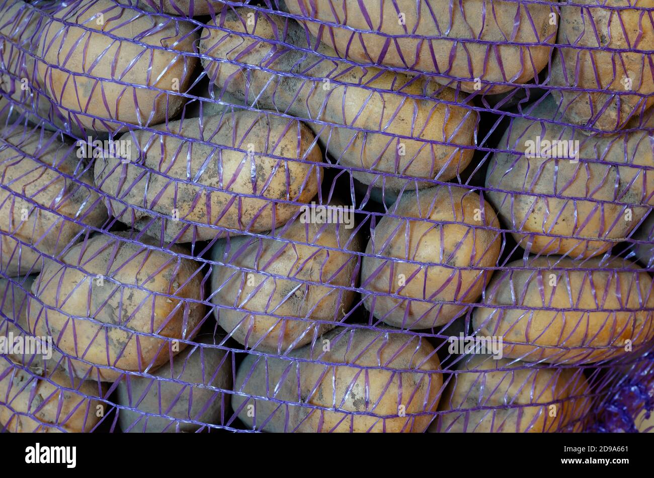 Potato growing in sack hi-res stock photography and images - Alamy