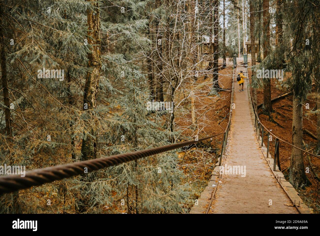 Forest rope bridge hike hi-res stock photography and images - Alamy