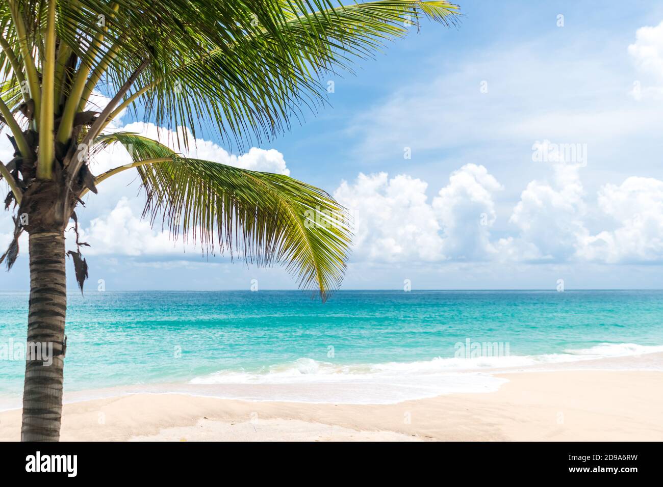 Tropical coconut tree at beach and white sand in summer season with sun ...