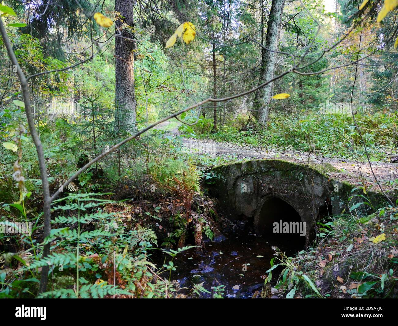 autumn forest landscape with old bridge in the foreground Stock Photo ...