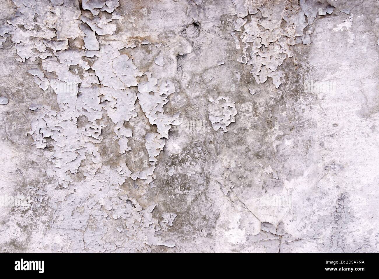 plaster on the wall texture. Gray background putty wall. destroyed wall ...