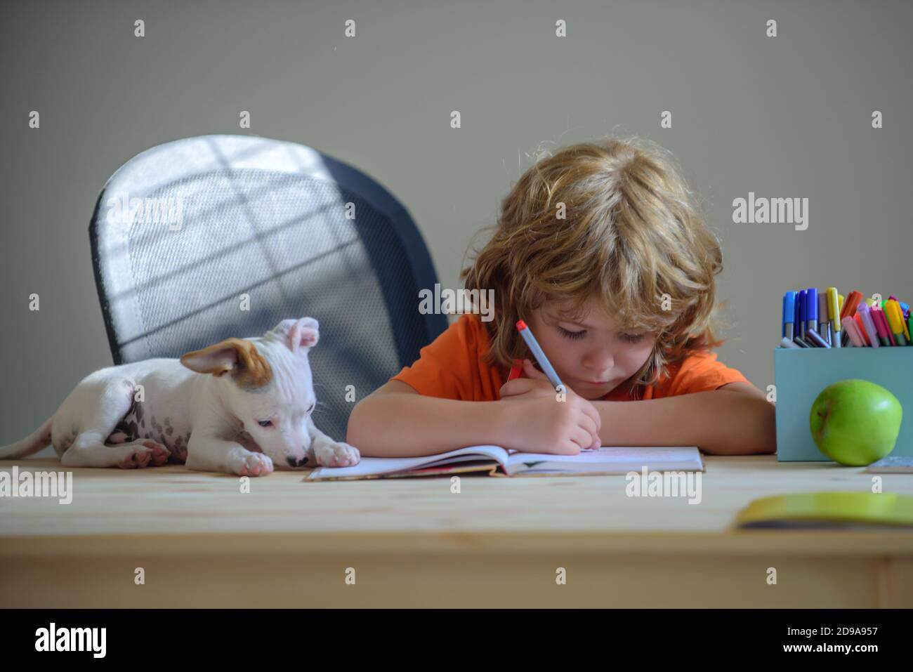 Classroom pet hi-res stock photography and images - Alamy