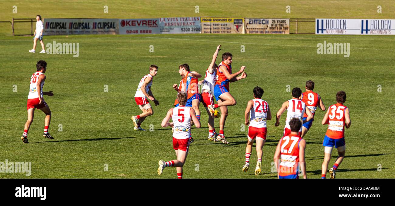 Australian rules fan hi-res stock photography and images - Alamy