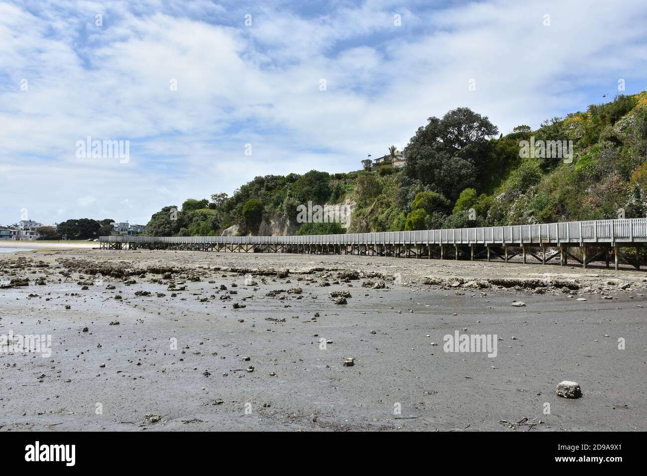 Tamaki river hi-res stock photography and images - Alamy