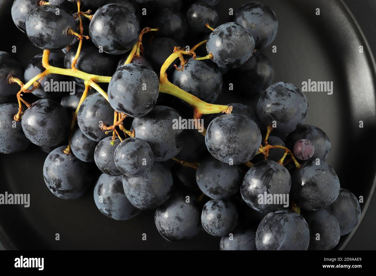 Fresh dark red grapes close up Stock Photo - Alamy