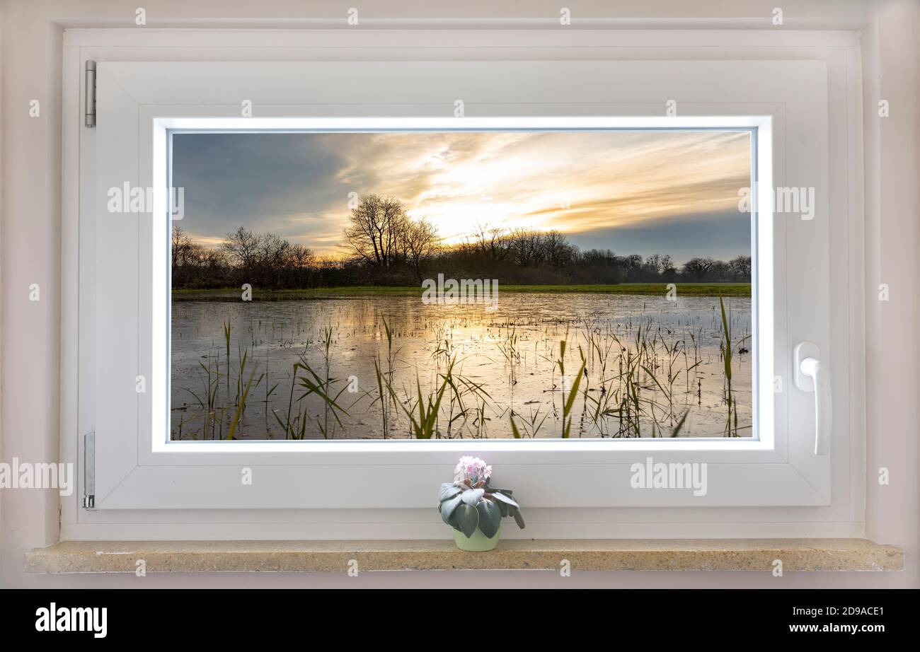 Saintpaulia windowsill hi-res stock photography and images - Alamy