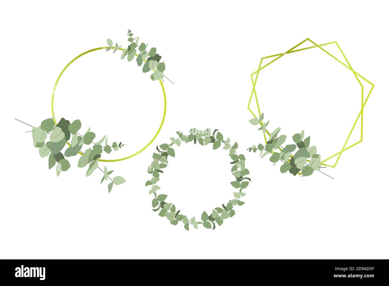 Set of frames with eucalyptus. Vector i Stock Vector Image & Art - Alamy