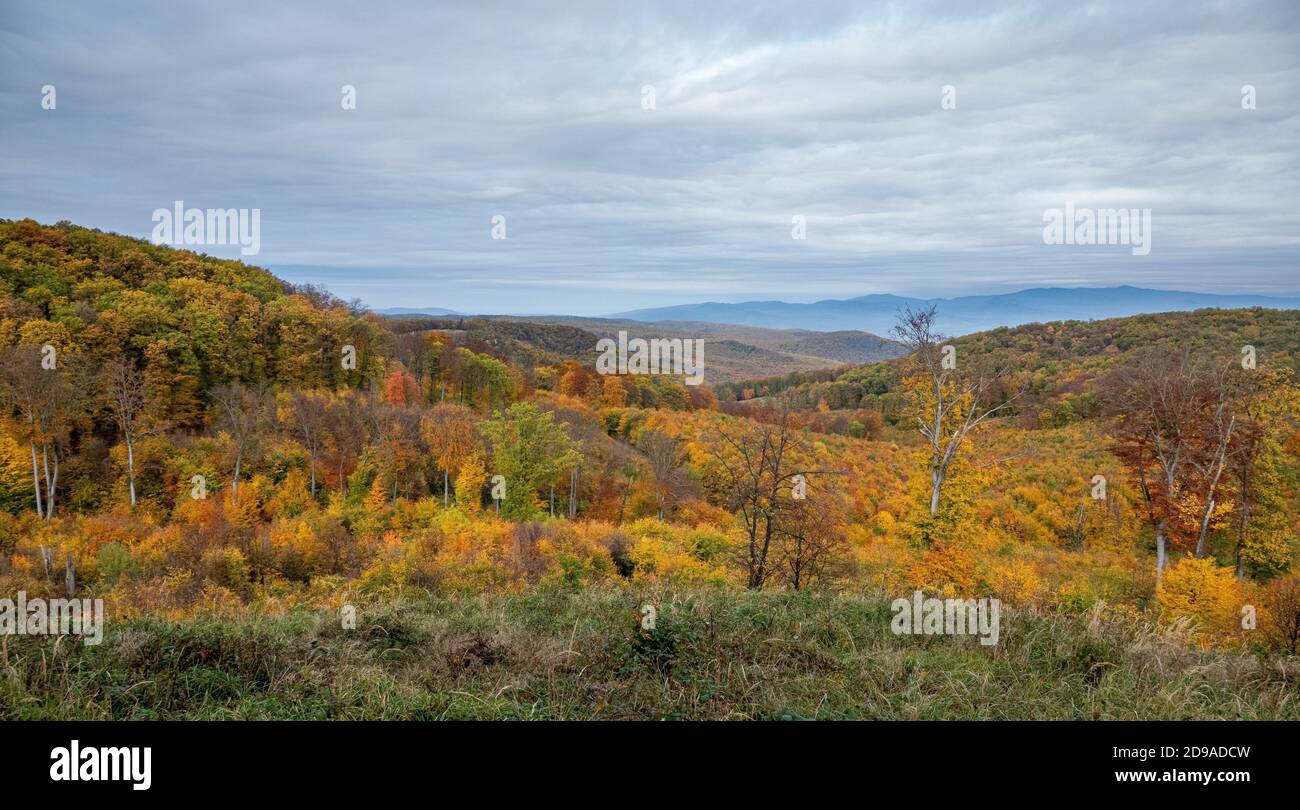 Aerial view autumn field forest hi-res stock photography and images - Alamy